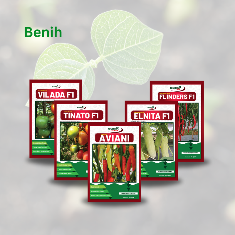 Benih - PT Tiara Buana Mandiri